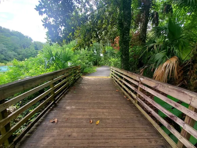rainbow springs state park 8