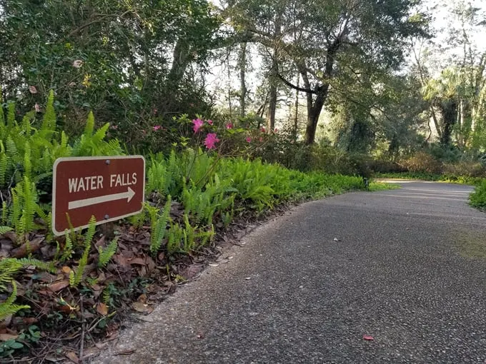 rainbow springs state park 9