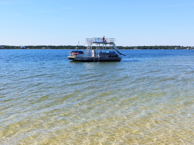 rent a pontoon boat for the day through lazy lizard tours