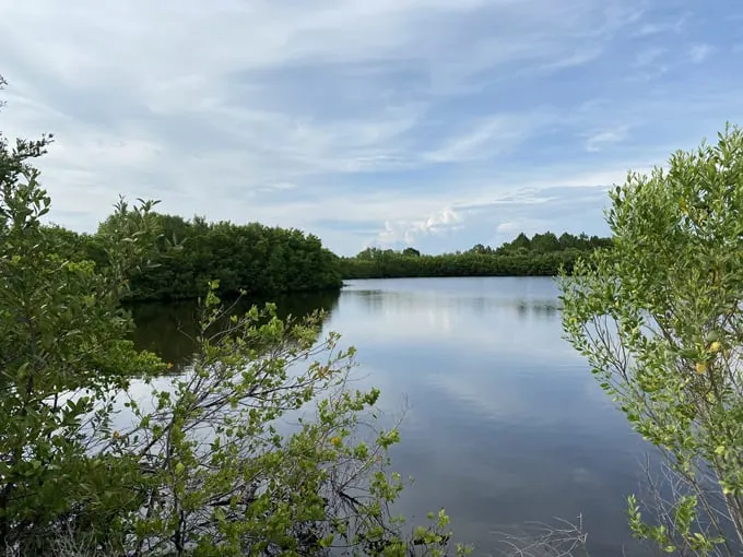 robinson preserve 5