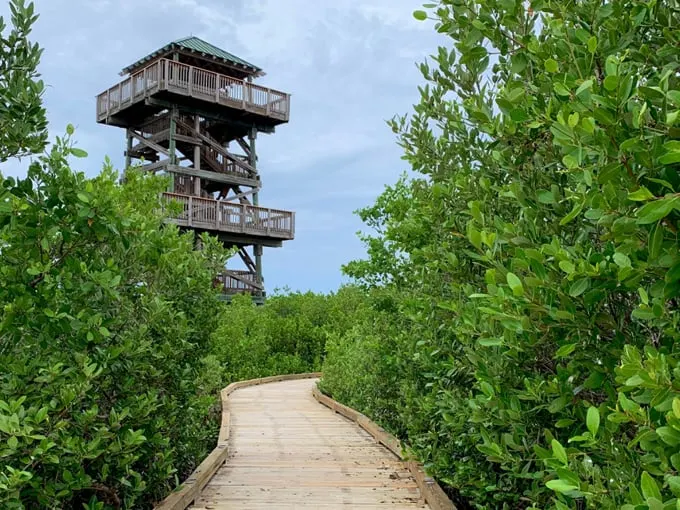robinson preserve 7
