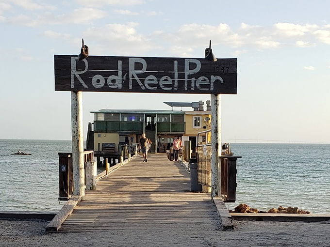 rod and reel pier 1