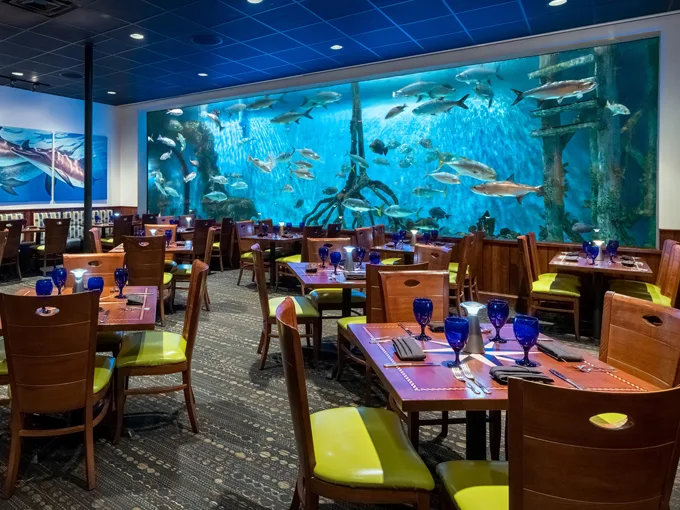 rumfish beach resort 8