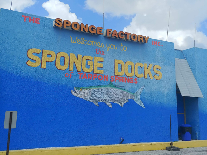 tarpon springs sponge docks 1