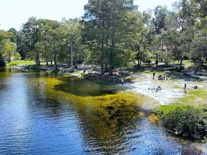 wakulla springs state park 1