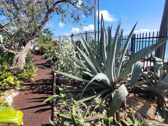 west martello tower and key west garden club 1