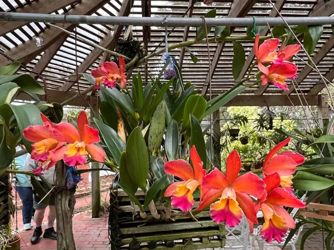 west martello tower and key west garden club 7