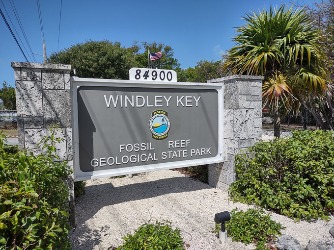 windley key fossil reef geological state park 1