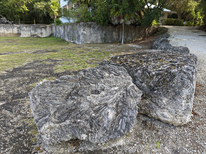 windley key fossil reef geological state park 3