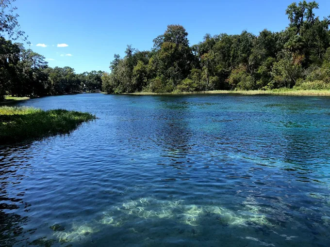 amazing florida spots drive 3