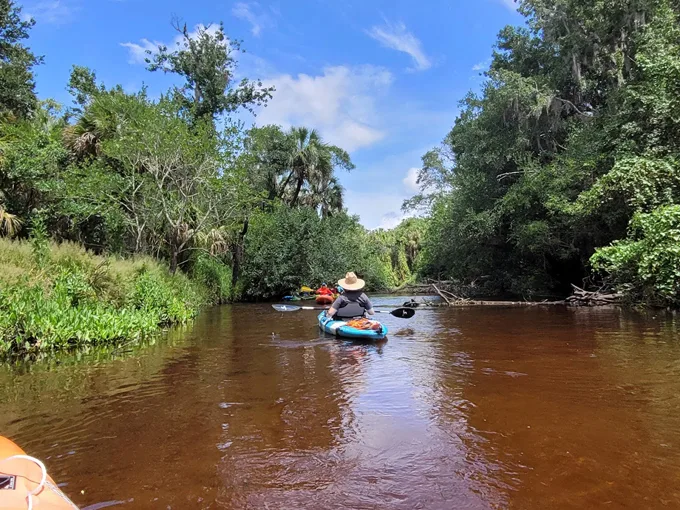 amazing state parks florida 1