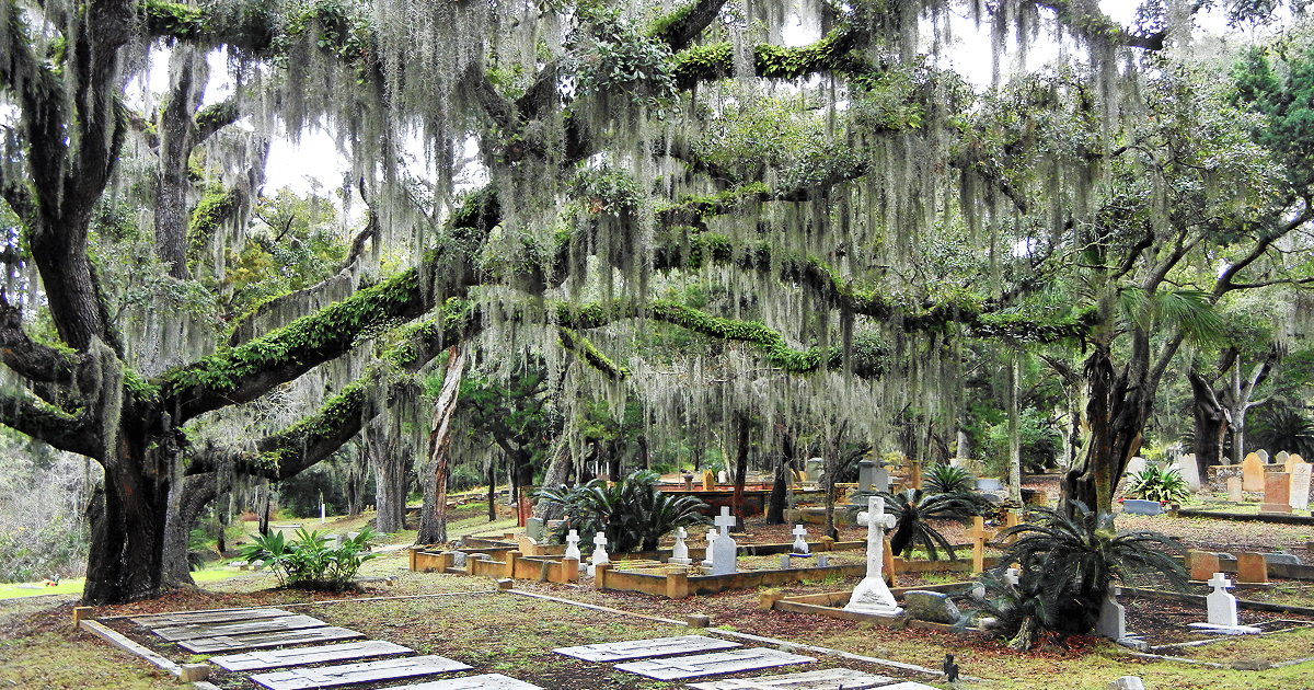 beautifully haunted cemetery florida ftr