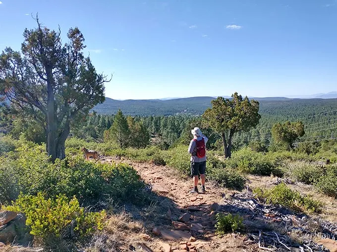 budget friendly destinations arizona 12