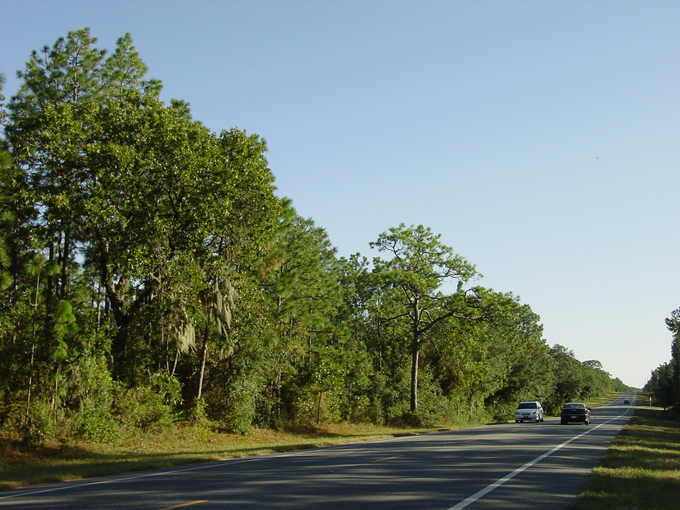 country roads in florida 10