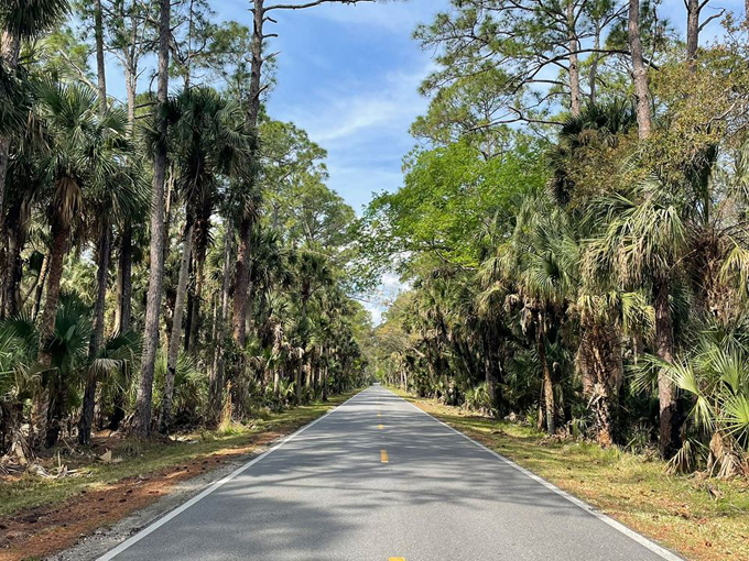 country roads in florida 6