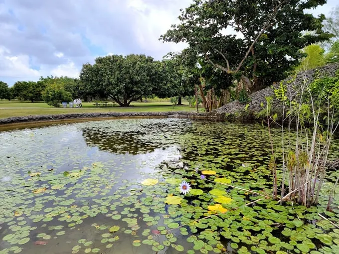 Florida Rural Road Trip 1