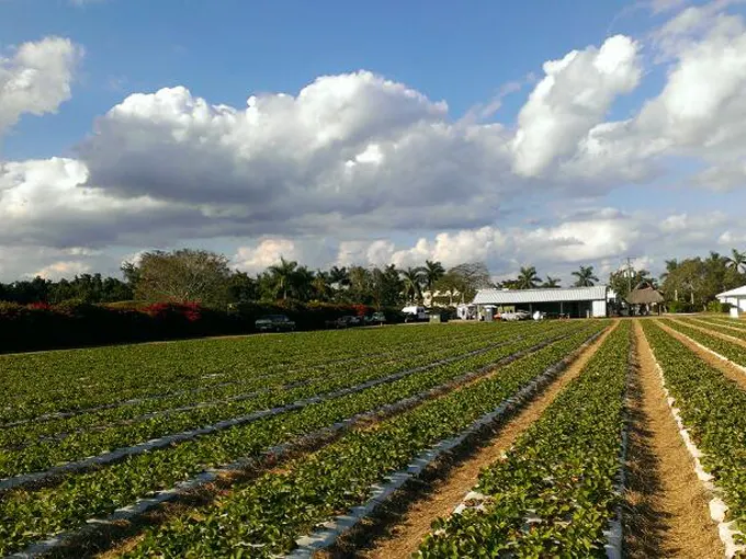 Florida Rural Road Trip 4