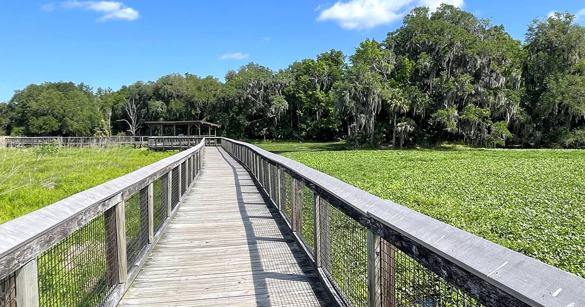 florida secluded overlook trail ftr