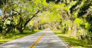 forested florida tree tunnel ftr
