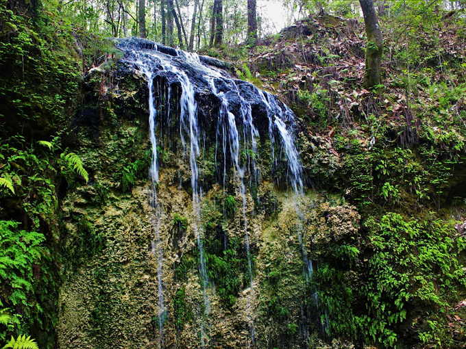 hidden waterfalls florida 1