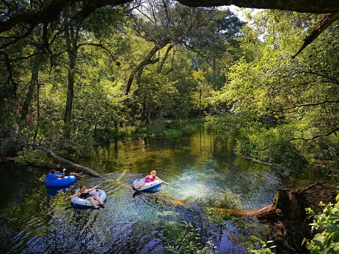ichetucknee (fort white) 1