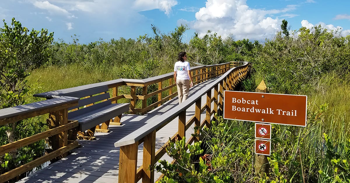 marshland boardwalk trail florida ftr