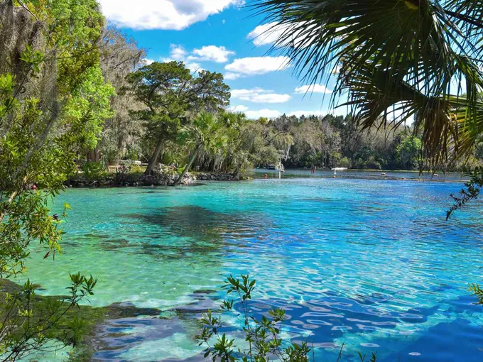 ocala national forest 1