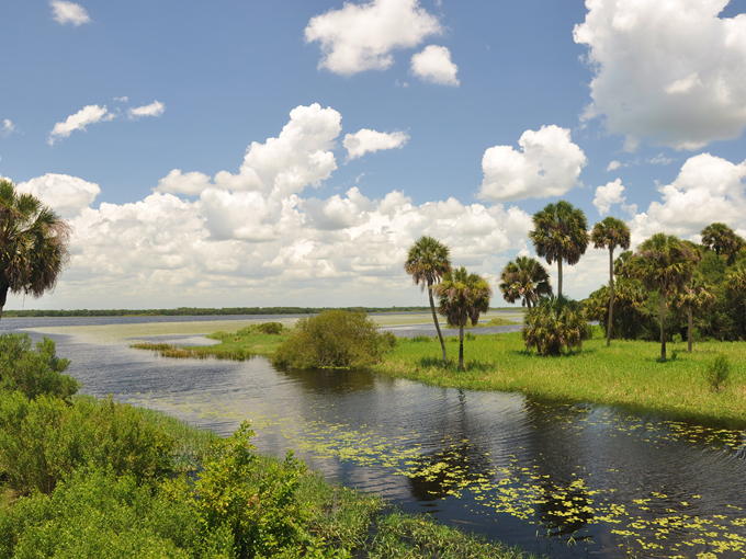 Top State Parks Florida 6