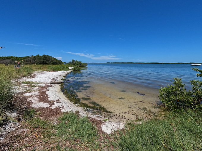 Top State Parks Florida 7