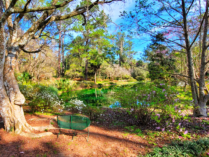 alfred b. maclay gardens state park 4