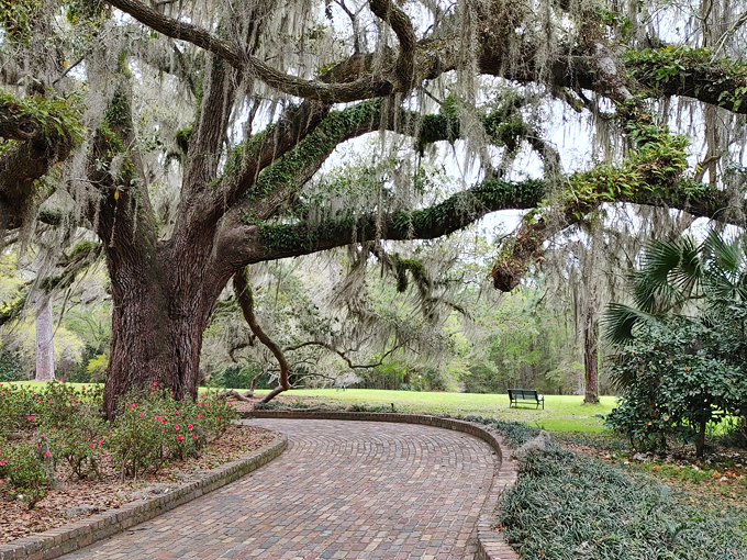 alfred b. maclay gardens state park 6