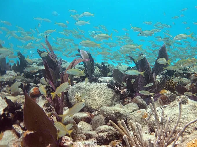 alligator reef lighthouse 3