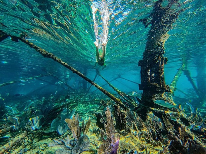 alligator reef lighthouse 8