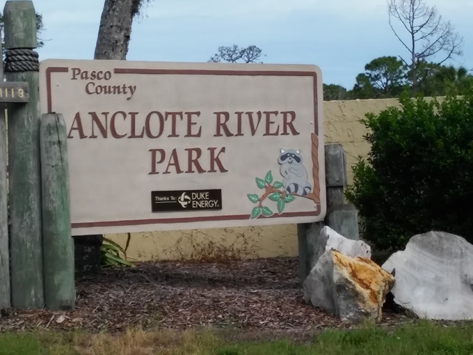 anclote river park 1