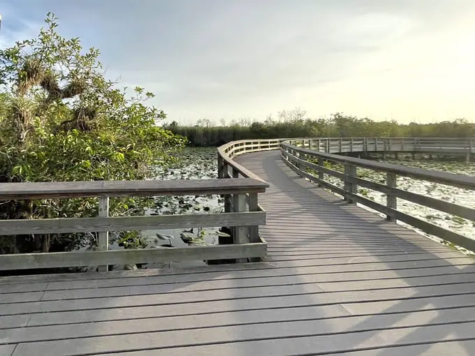 anhinga trail 1