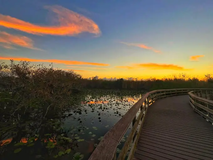 anhinga trail 7