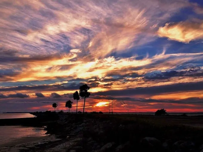 apalachicola 8