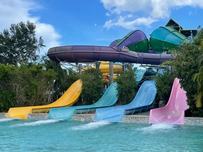 aquatica 2