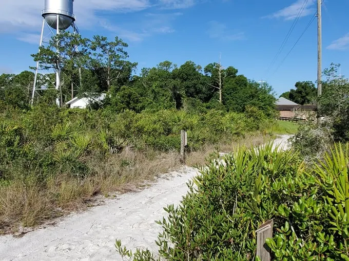archbold biological station 2