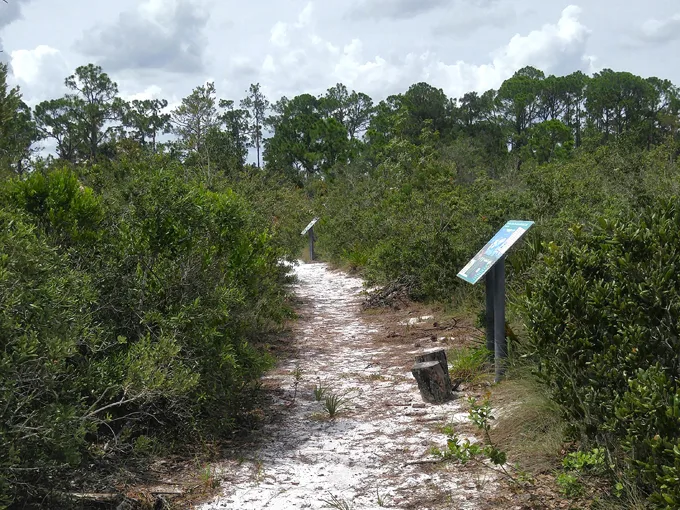 archbold biological station 5