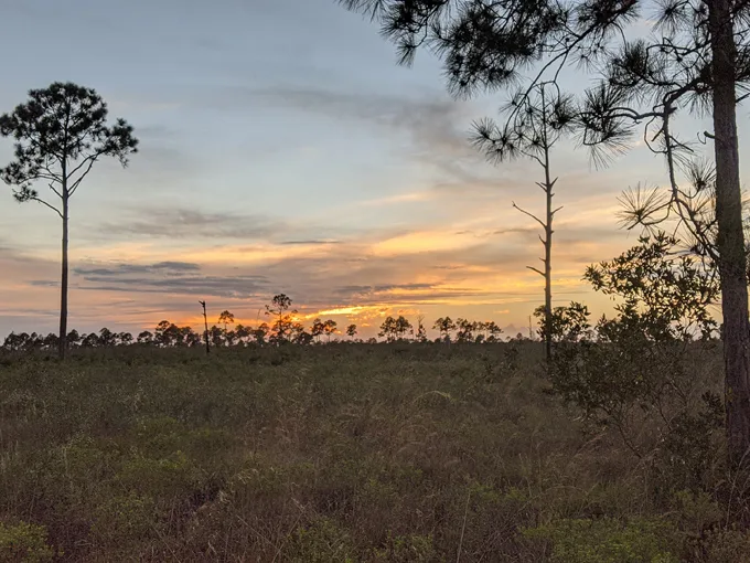 archbold biological station 7