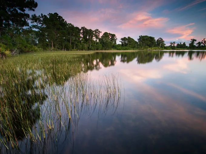 archbold biological station 9