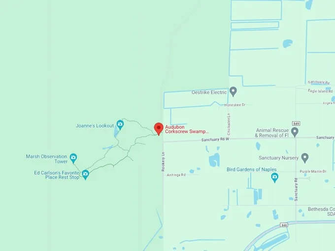 audubon corkscrew swamp sanctuary 10 map