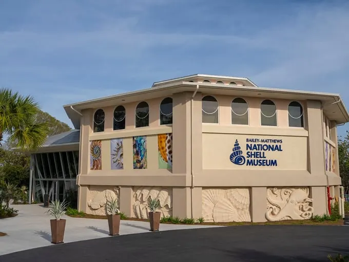 bailey matthews national shell museum 1