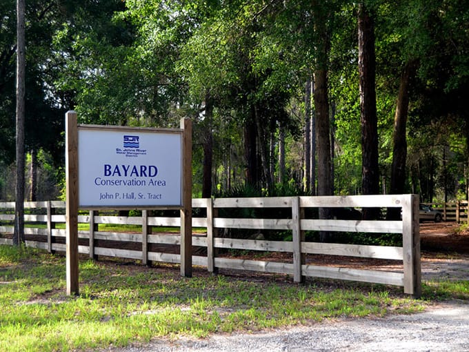 bayard conservation area 1
