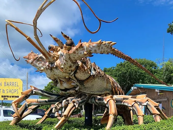 betsy the lobster 2