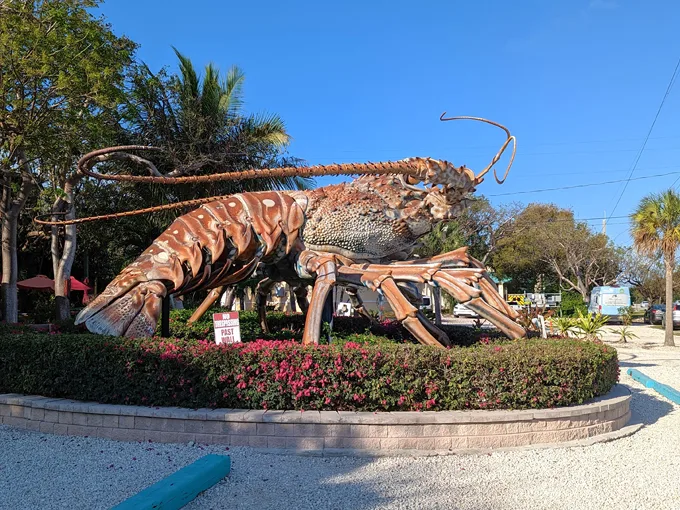 betsy the lobster 3