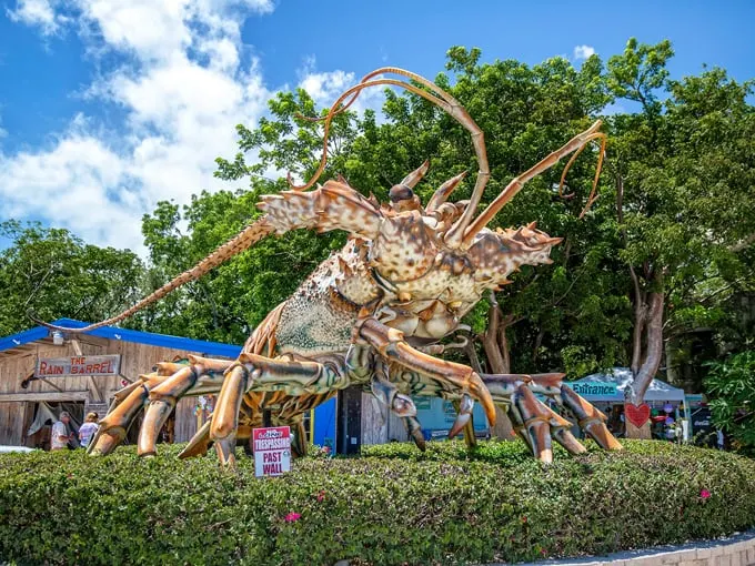 betsy the lobster 5