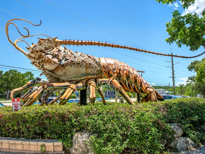 betsy the lobster 6