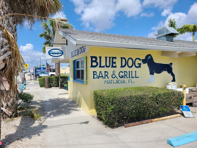 blue dog bar grill 1
